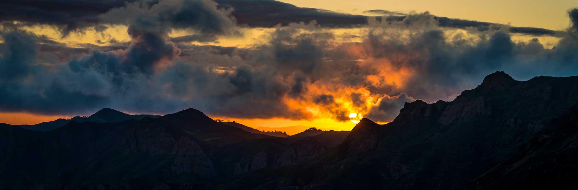 Products & Services | Codiack Financial Services